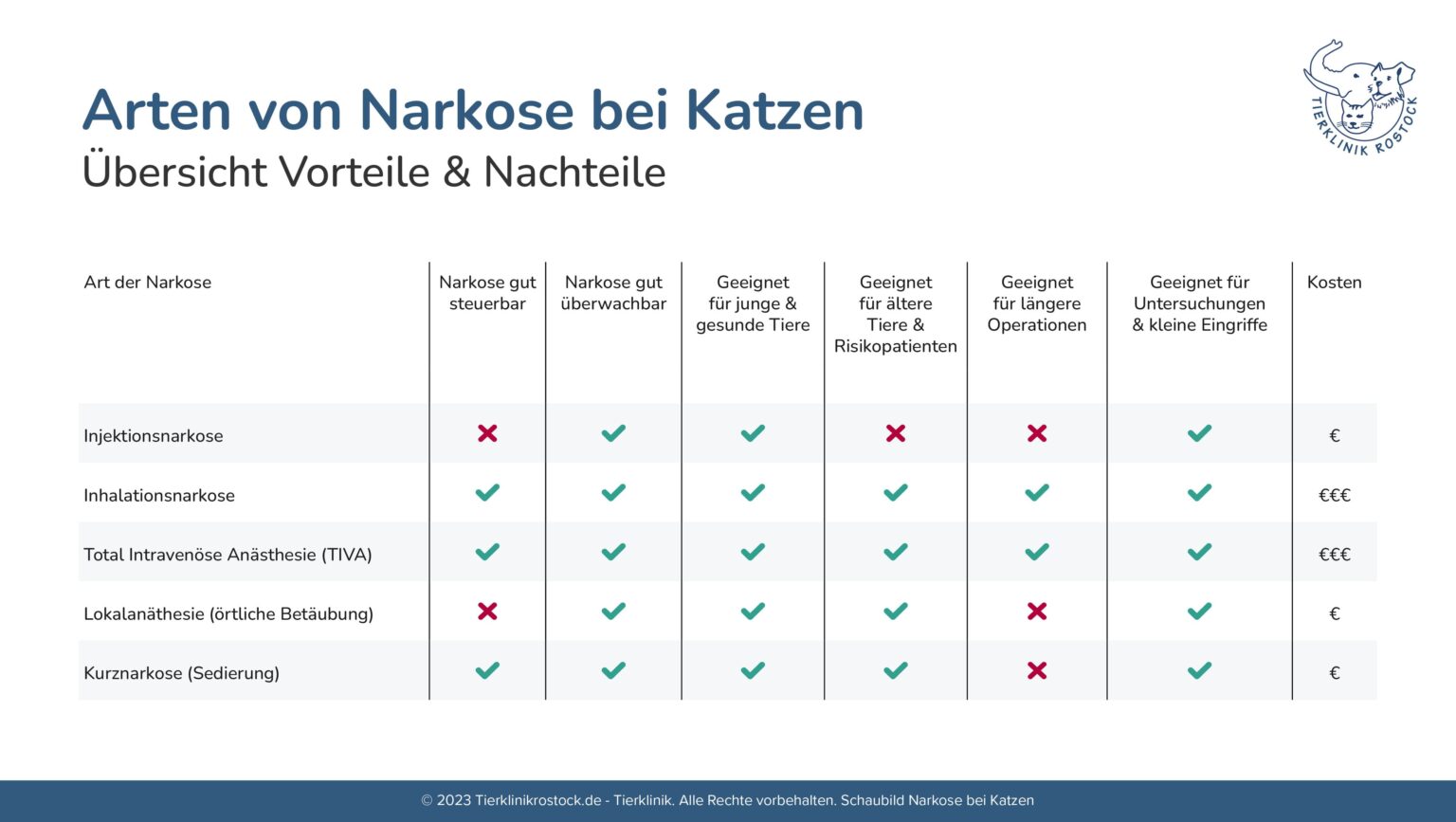 Narkose Katze - Alle wichtigen Infos | Tierklinik Rostock