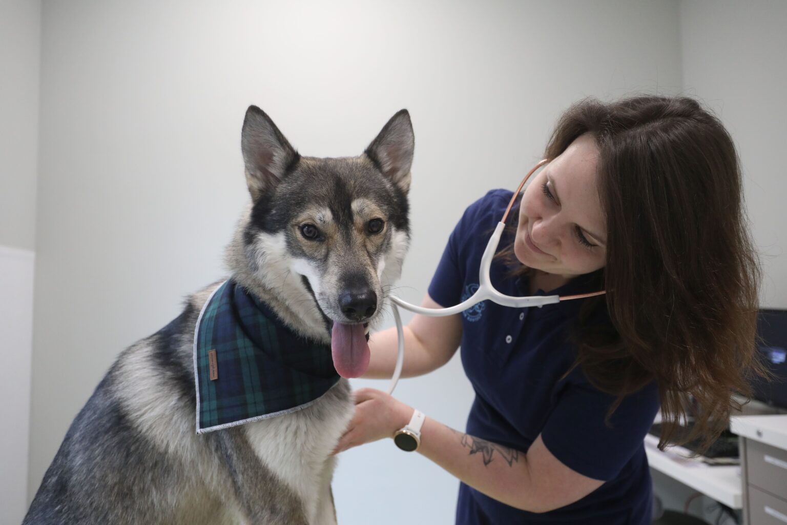 Atemnot Hund - Was tun? Alles über Atembeschwerden beim Hund ...