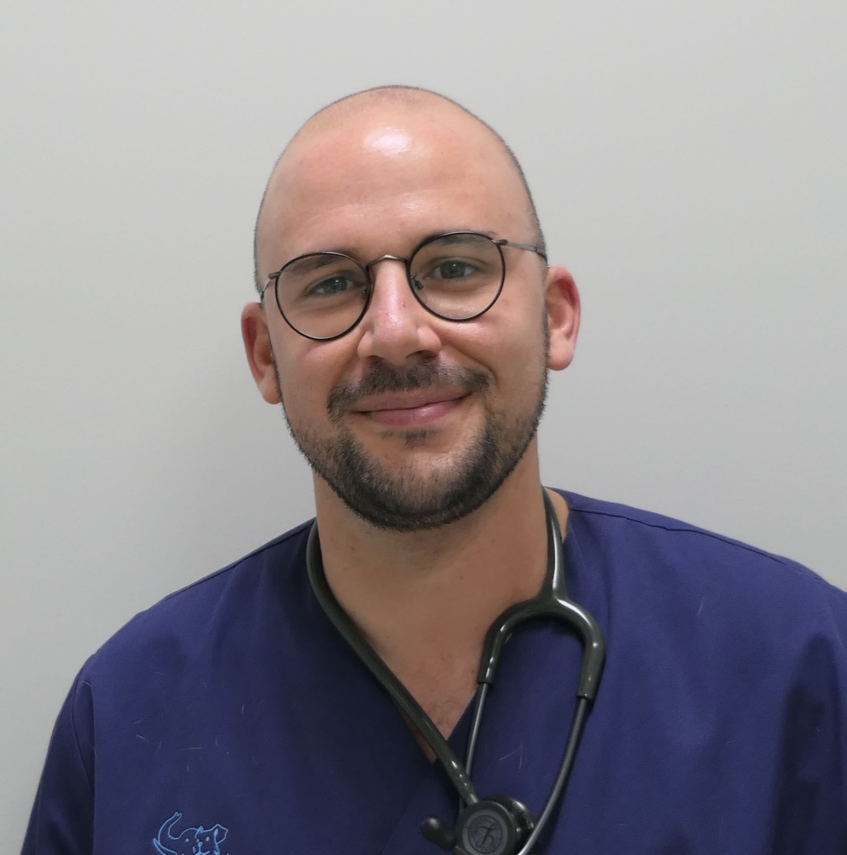 Unser Team – Kompetenz & Expertise | Tierklinik Rostock