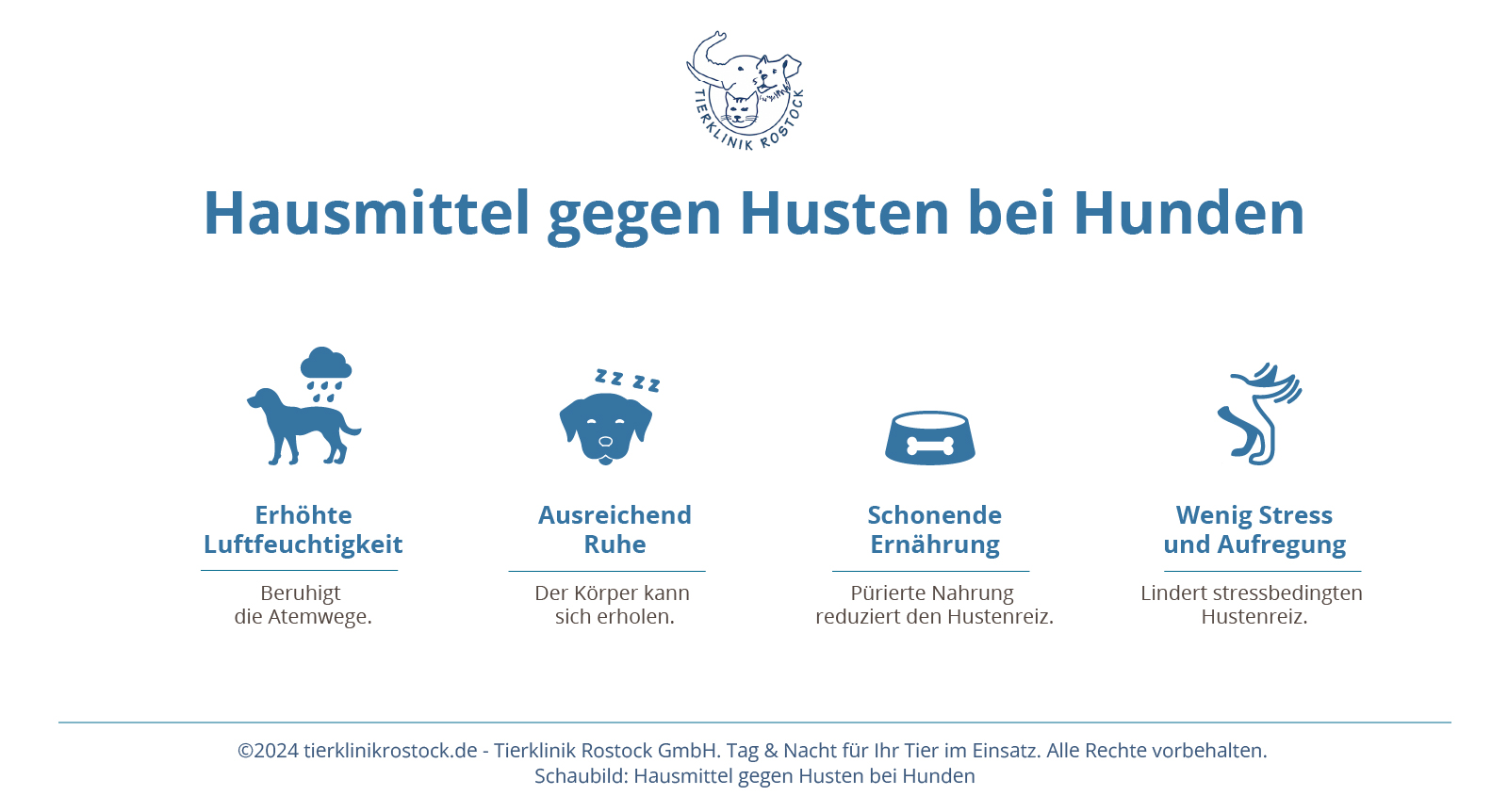 Was tun wenn mein Hund hustet? | Tierklinik Rostock